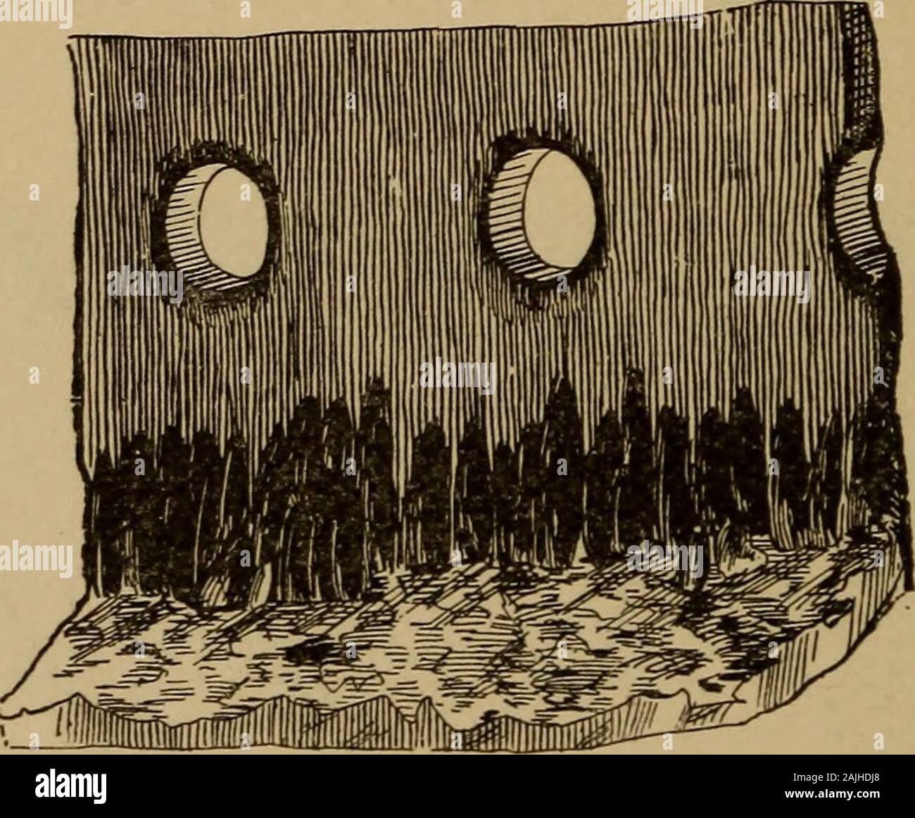 Steam boiler explosions, in theory and in pactice; . Fig. 33.—Corrosion ...