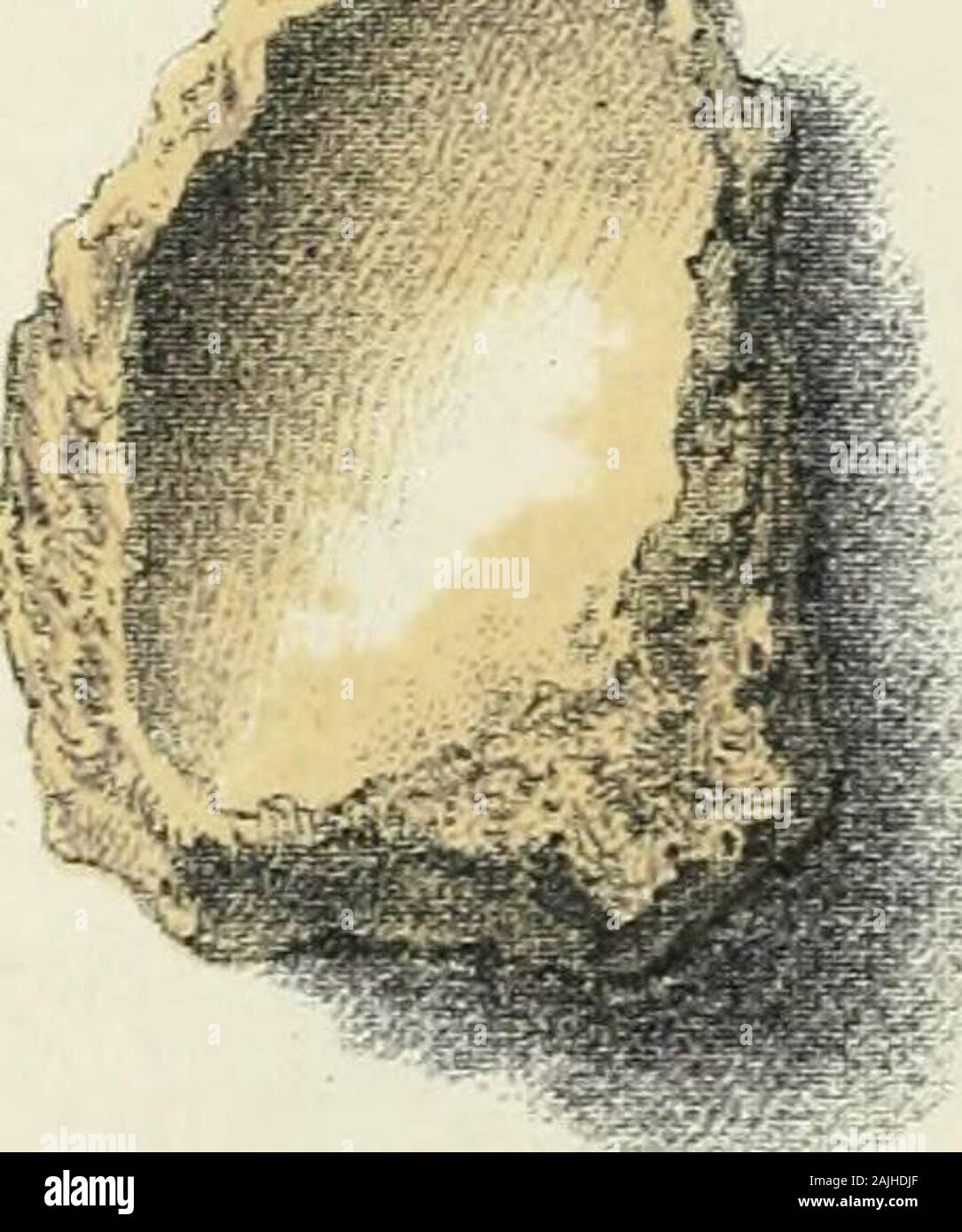 Lithic art hi-res stock photography and images - Alamy