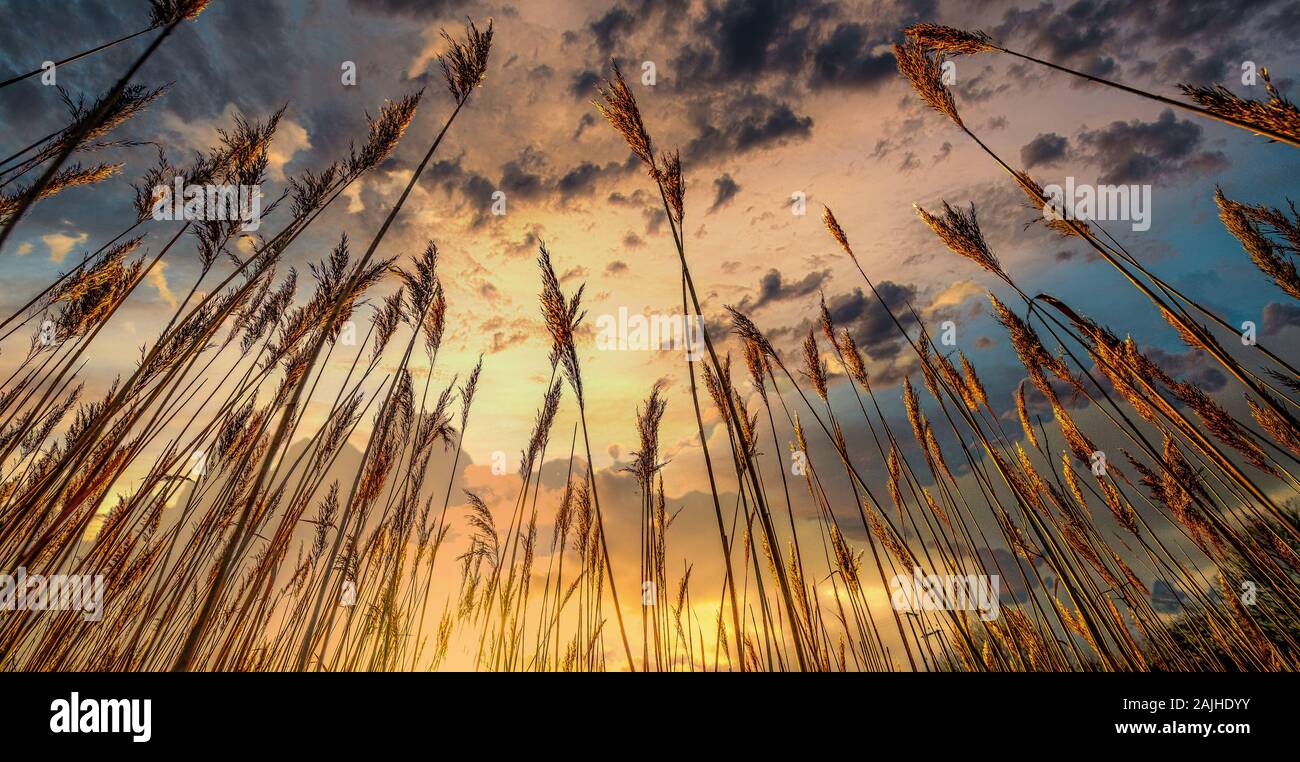 Dramatic clouds sun set hi-res stock photography and images - Alamy