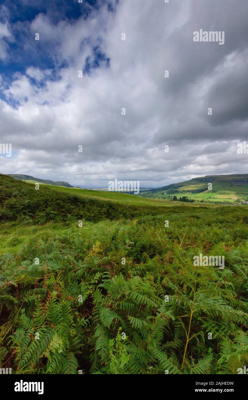 Landscape in the Scottish Highlands Scotland UK Stock Photo - Alamy
