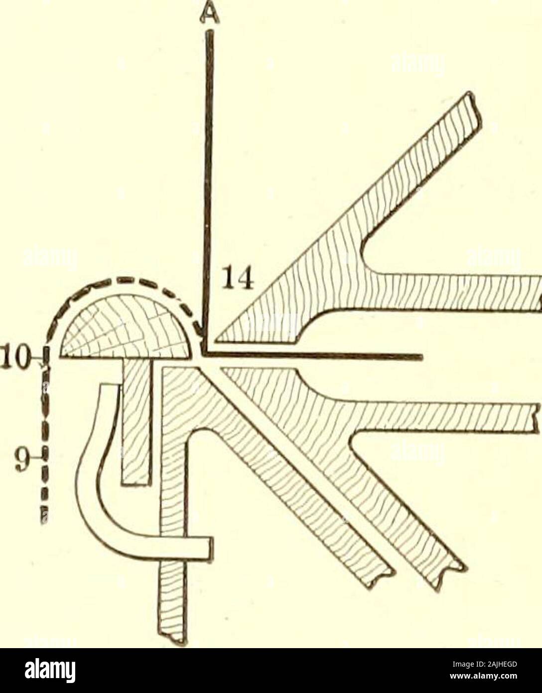 Home made trifle hi-res stock photography and images - Alamy