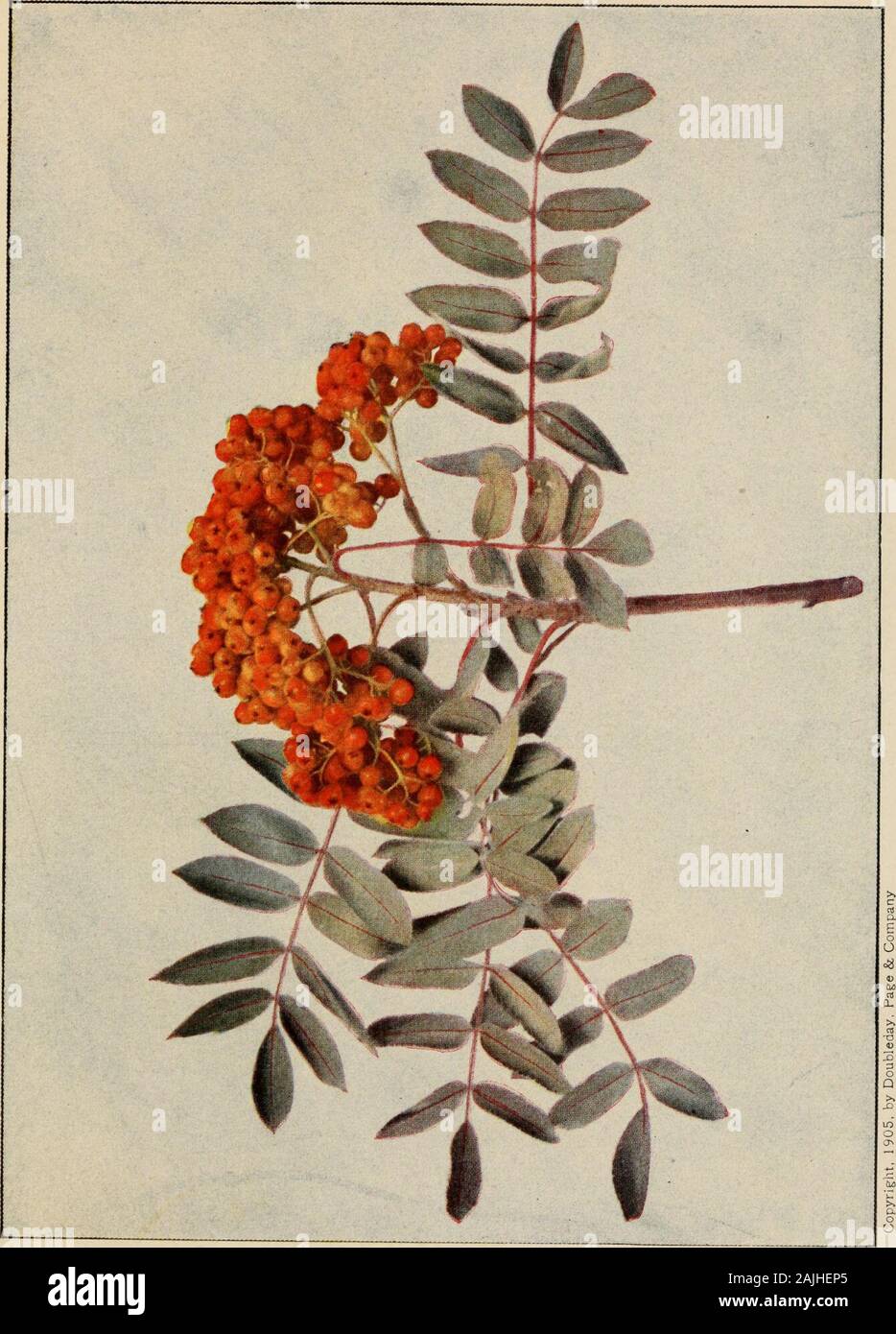 Eek river hi-res stock photography and images - Alamy