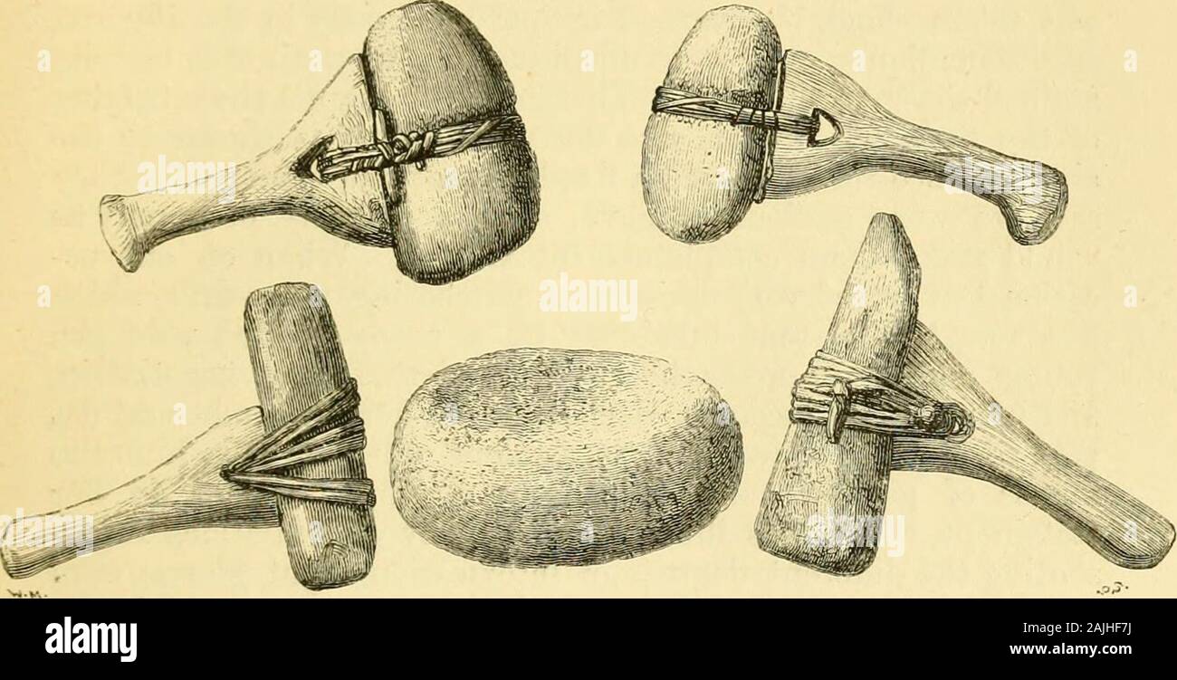 Bone crushing dogs hi-res stock photography and images - Alamy