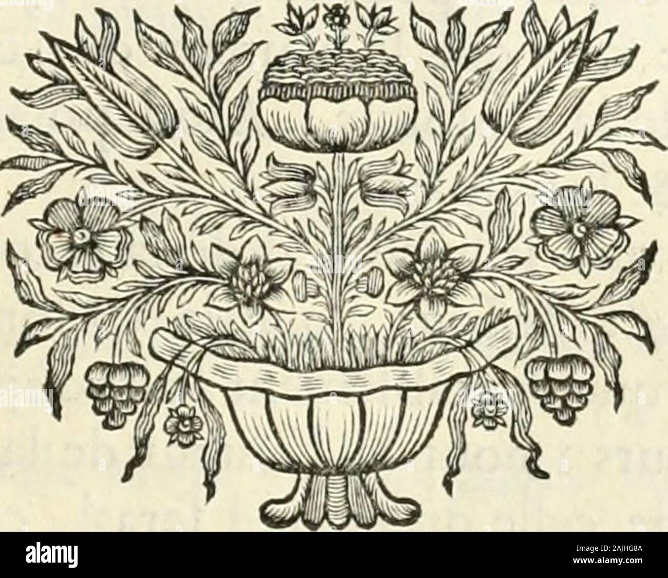 Ordres doriques hi-res stock photography and images - Alamy