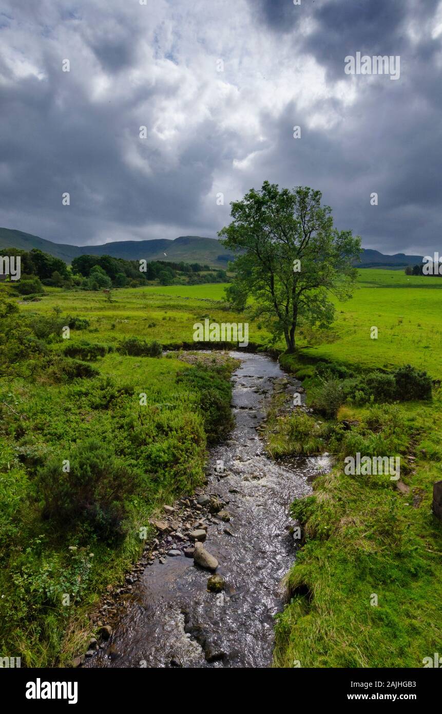 Landscape in the Scottish Lowlands Scotland UK Stock Photo - Alamy
