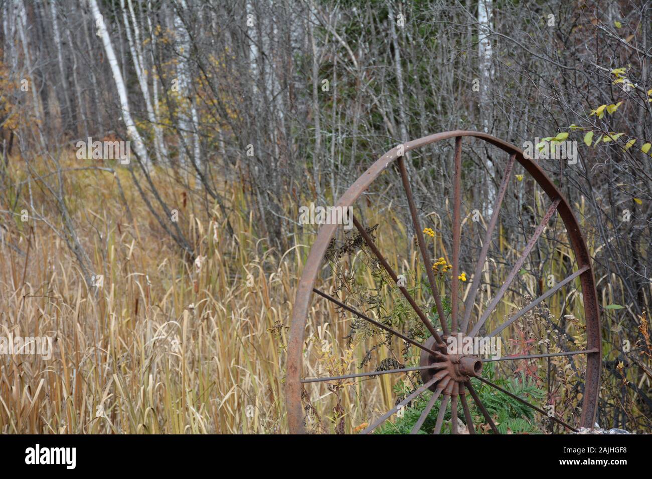 Rusty brown iron wheel in autumn field Stock Photo - Alamy