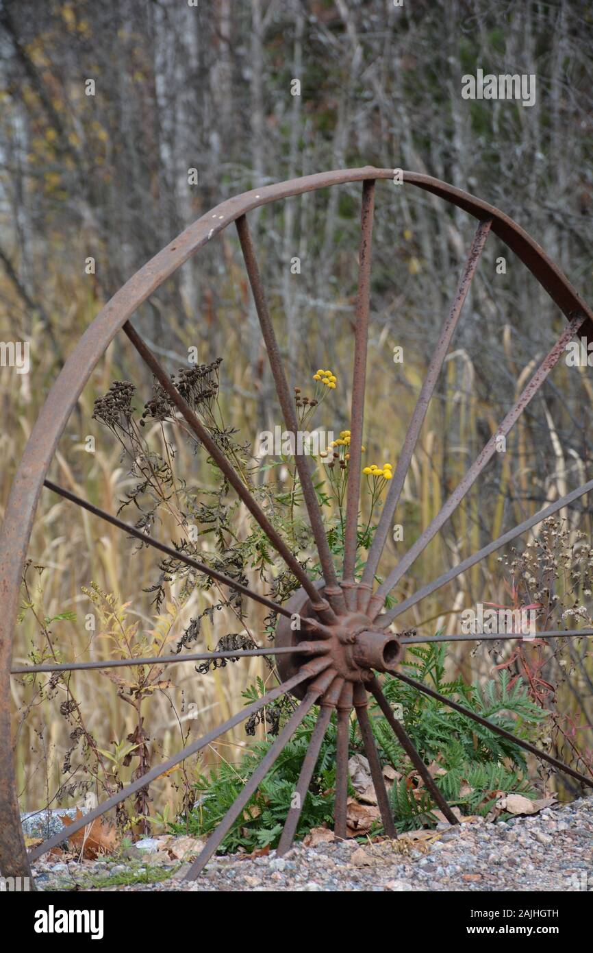 Rusty brown iron wheel in autumn field Stock Photo - Alamy