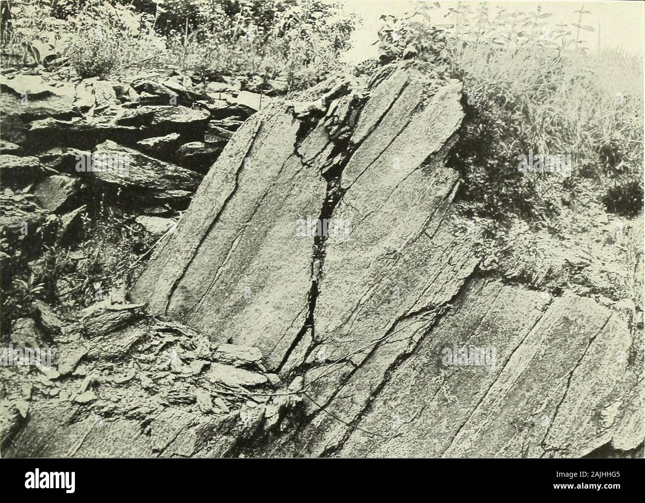 Example of porosity hi-res stock photography and images - Alamy