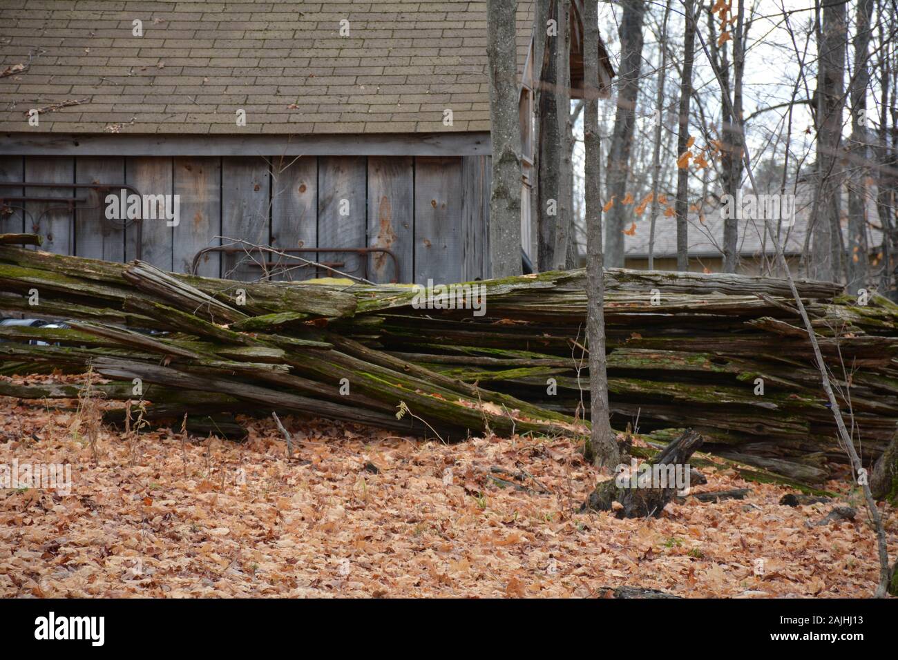 Wood lot and shack with fallen leaves Stock Photo - Alamy