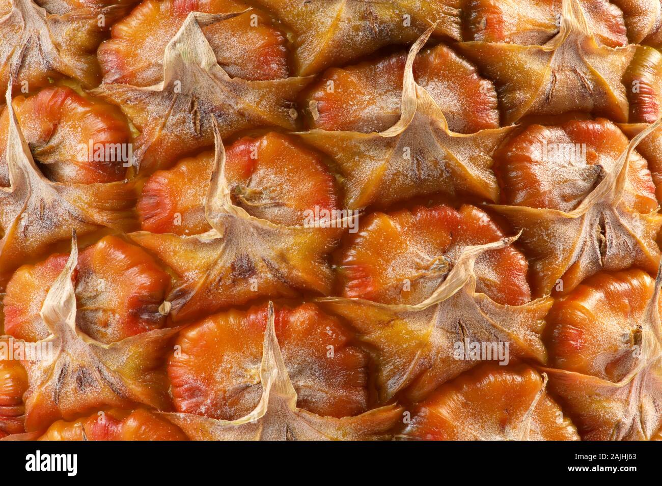 Close up fresh pineapple in hi-res stock photography and images - Alamy