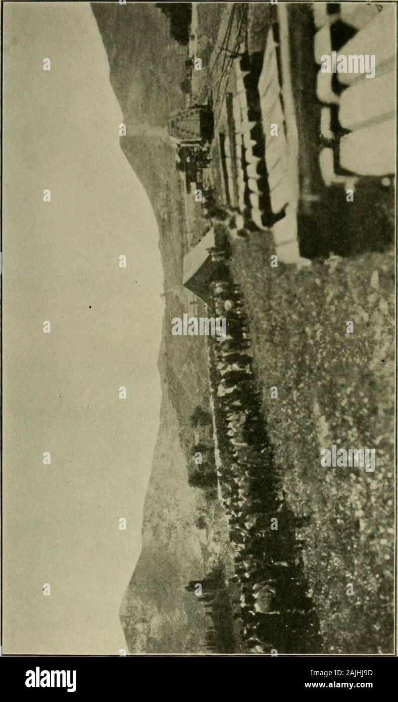 Typhus fever : with particular reference to the Serbian epidemic. . X ...