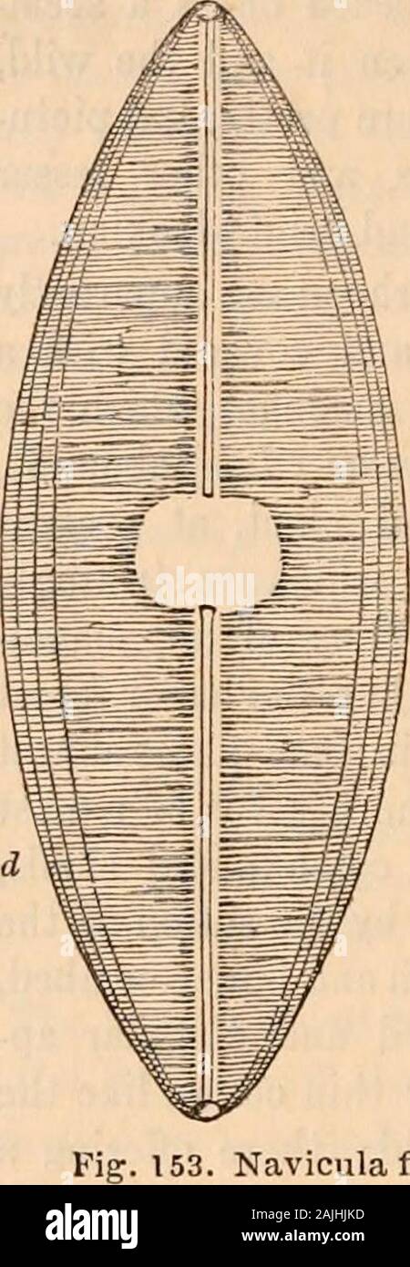 Linear Striae High Resolution Stock Photography and Images - Alamy