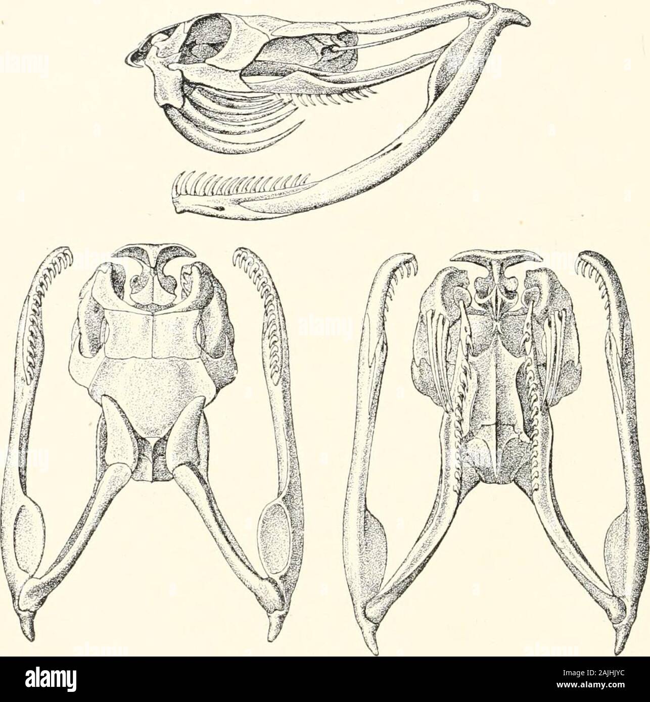 Venoms; venomous animals and antivenomous serum-therapeutics . ^ are in ...