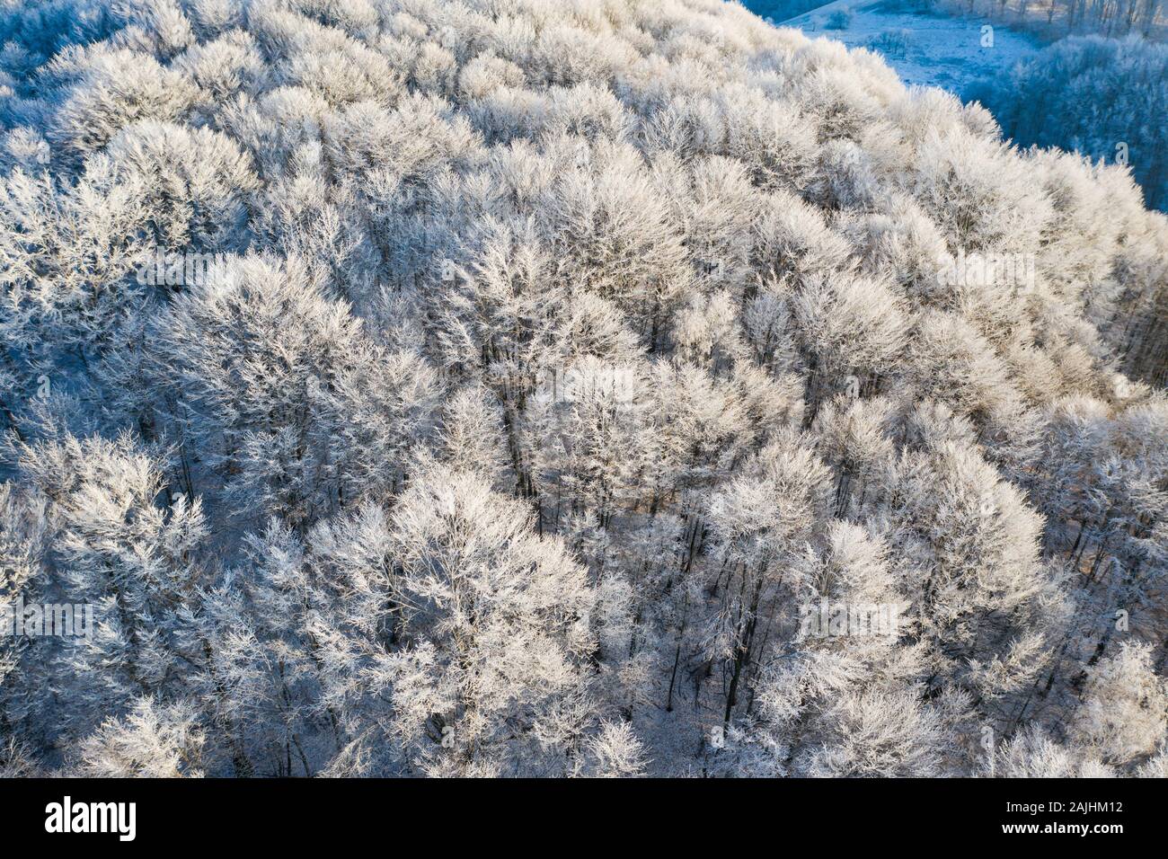 Aerial view of idyllic winter landscape with frozen trees in ...