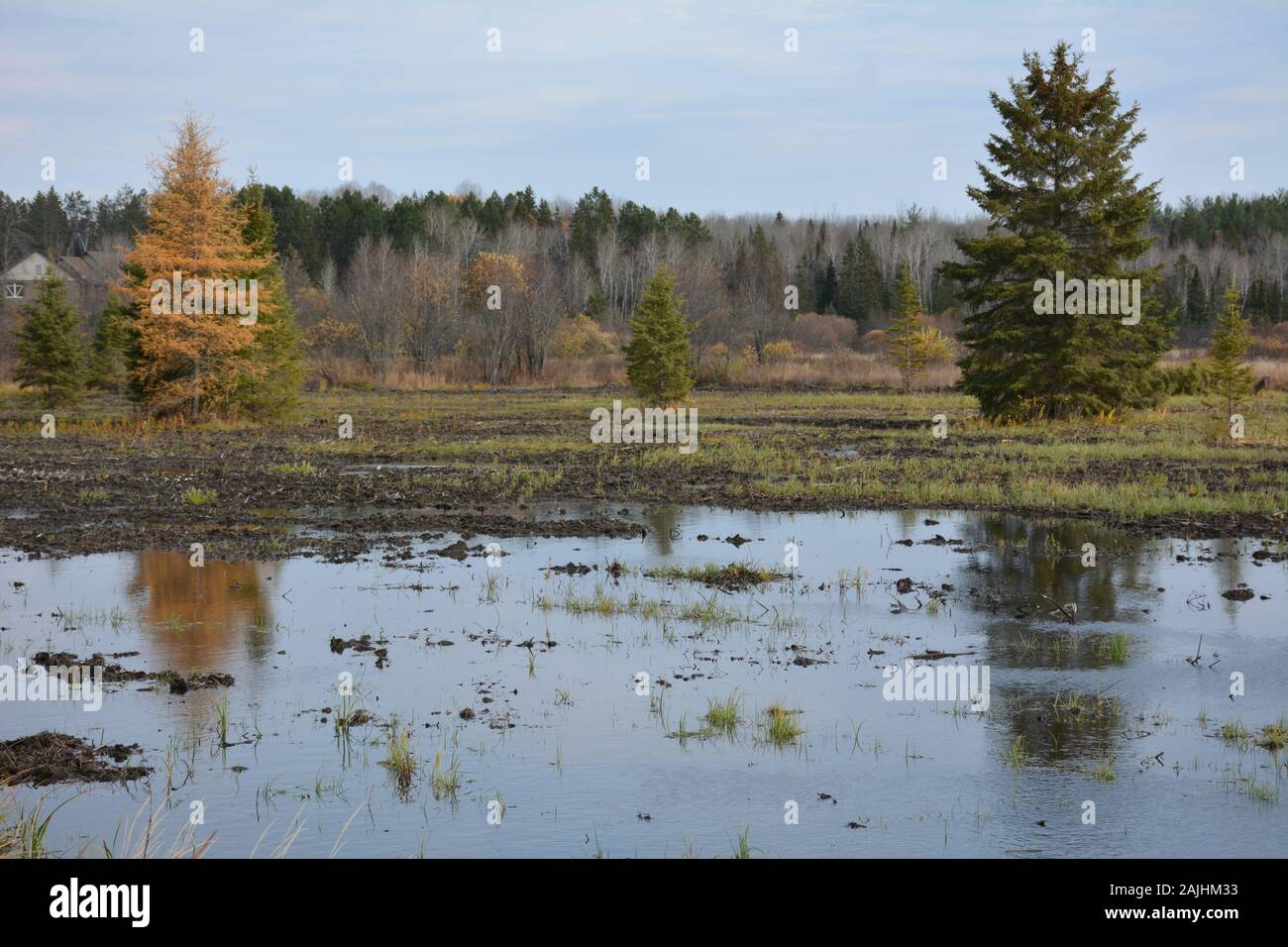 D flooded pasture hi-res stock photography and images - Alamy