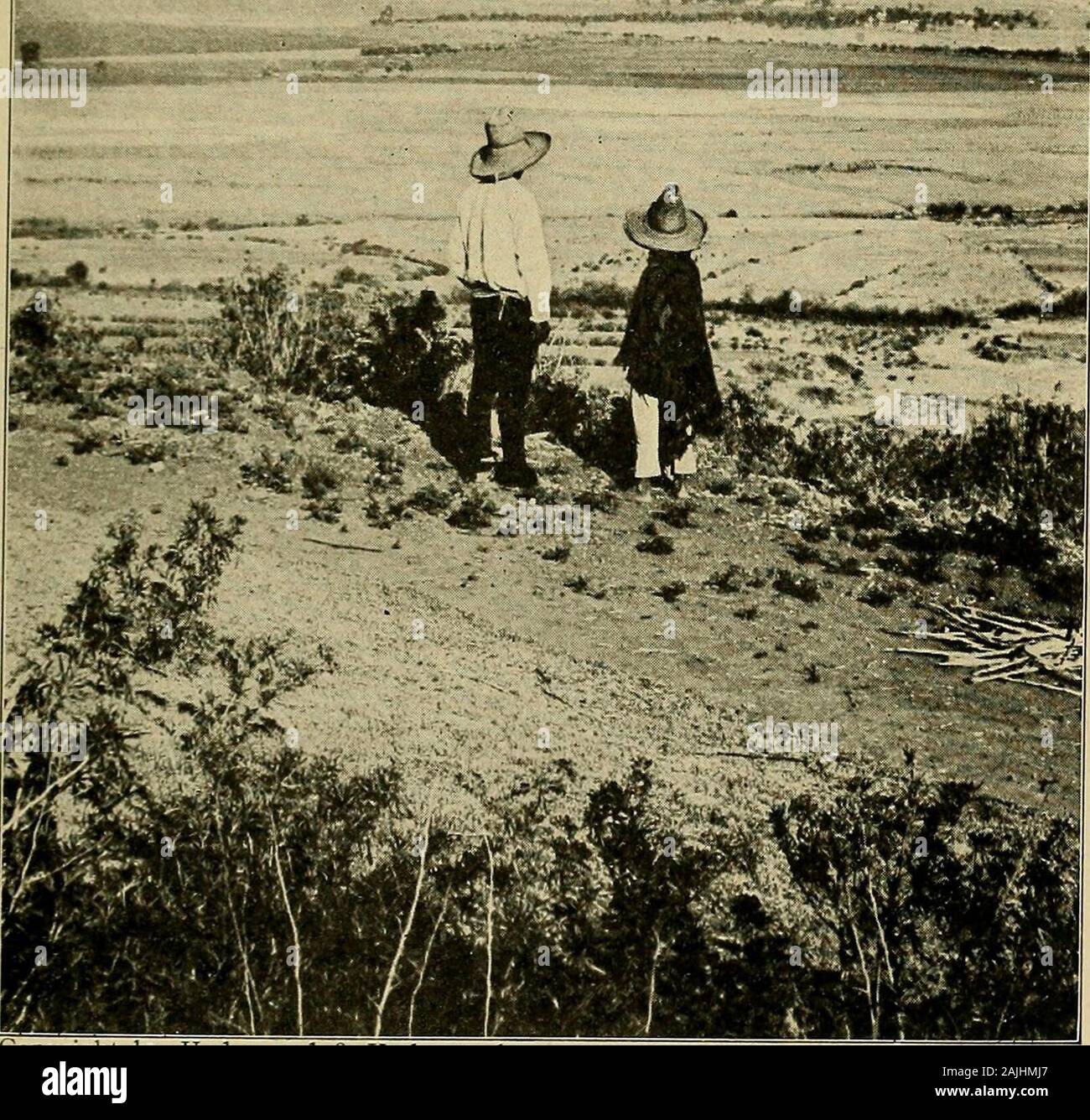 Lady Hintze High Resolution Stock Photography and Images - Alamy