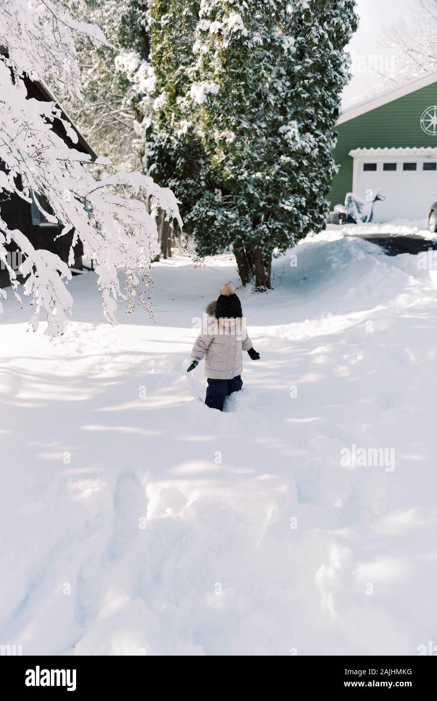 Tree first human hi-res stock photography and images - Alamy