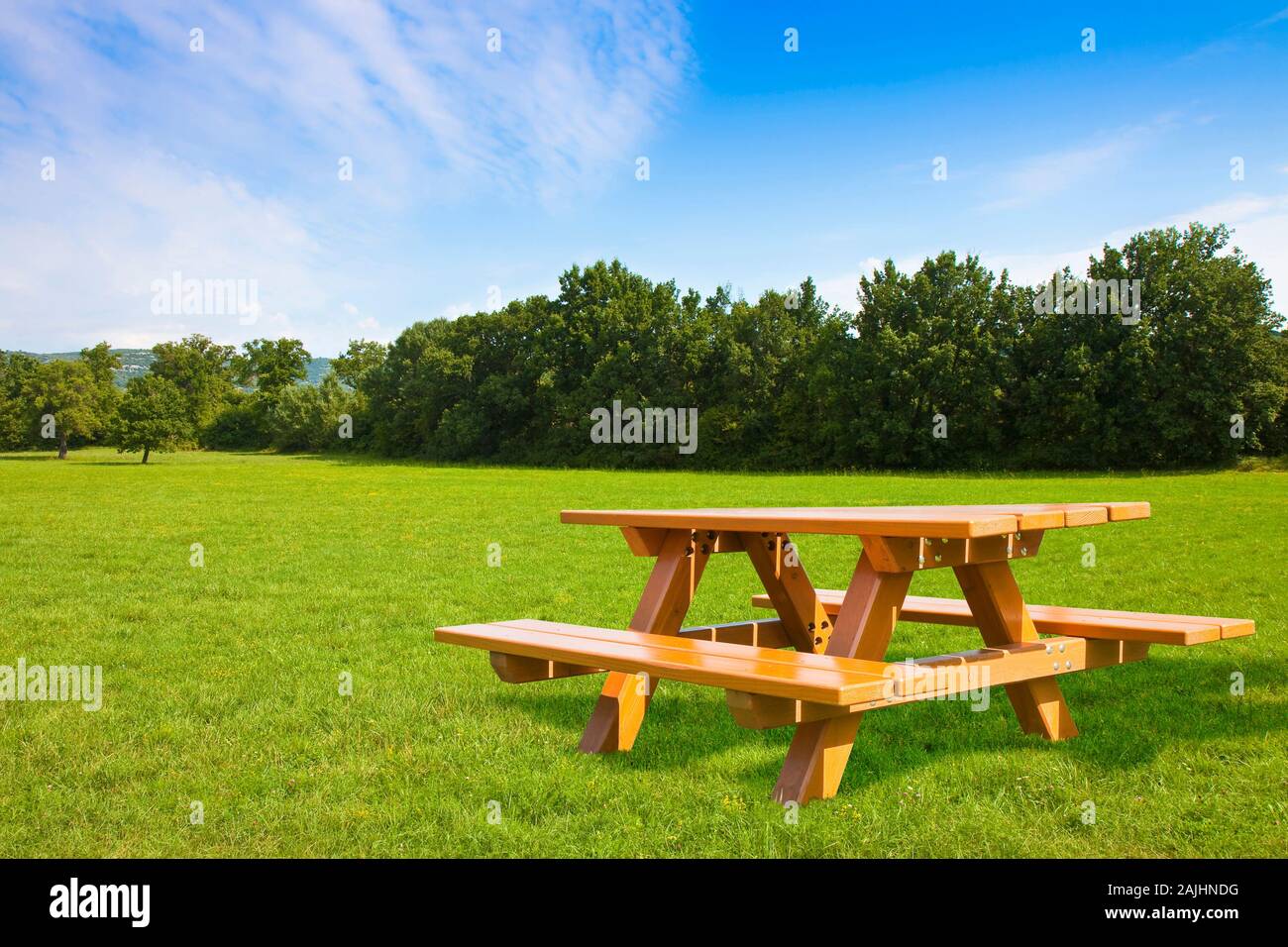Wooden picnic table on a green meadow in a public park with trees on ...