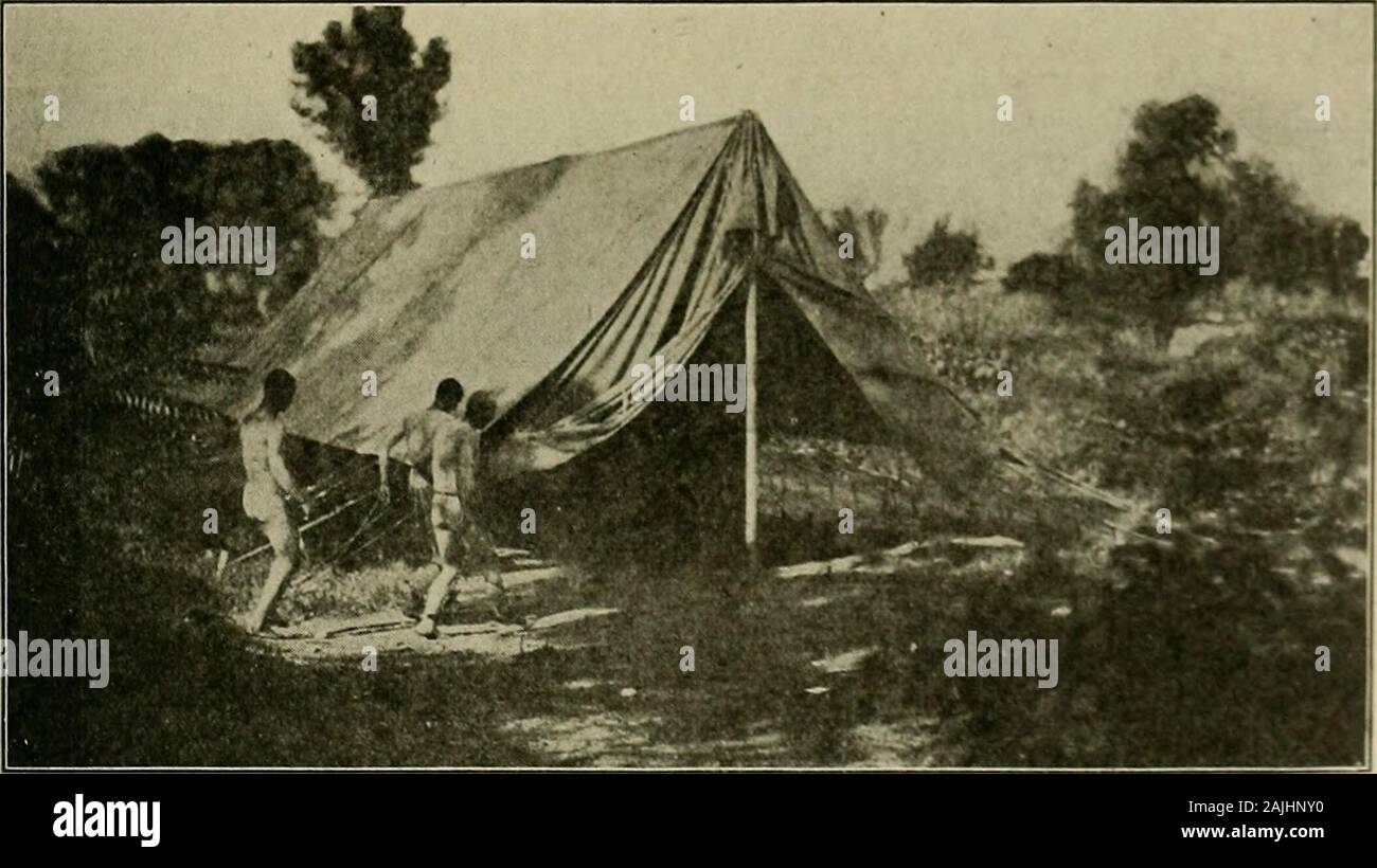 Epidemic Typhus High Resolution Stock Photography and Images - Alamy