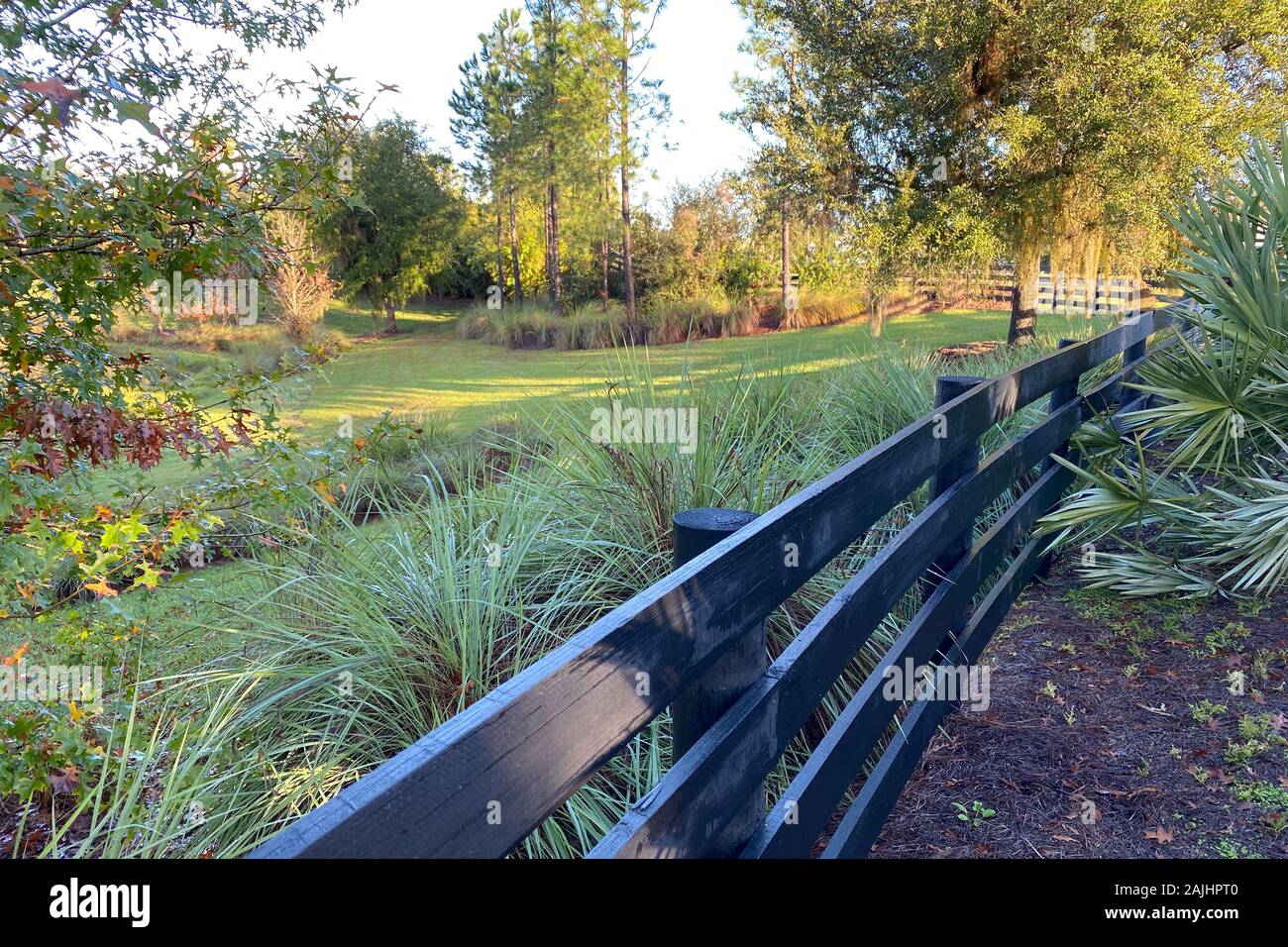 park forest fence garden path Stock Photo - Alamy