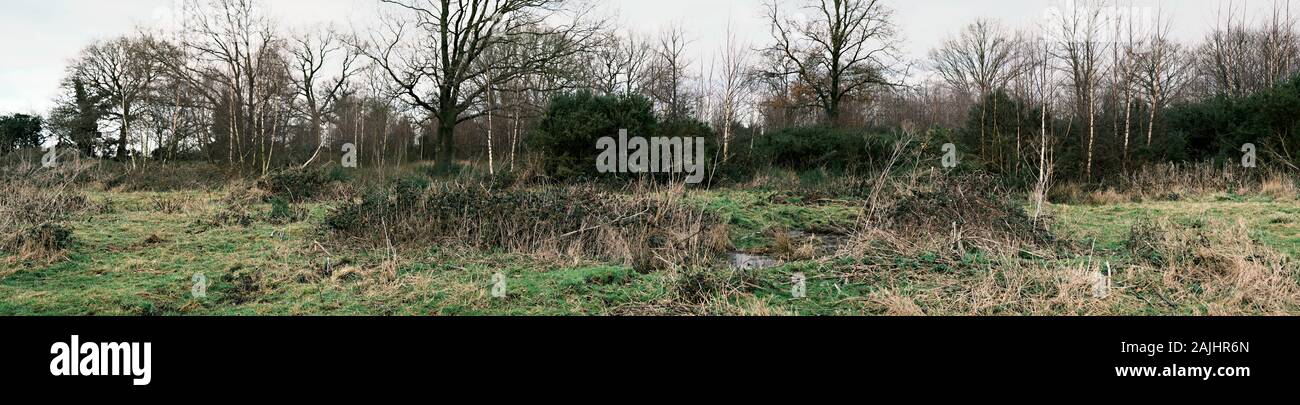 North runcton norfolk hi-res stock photography and images - Alamy