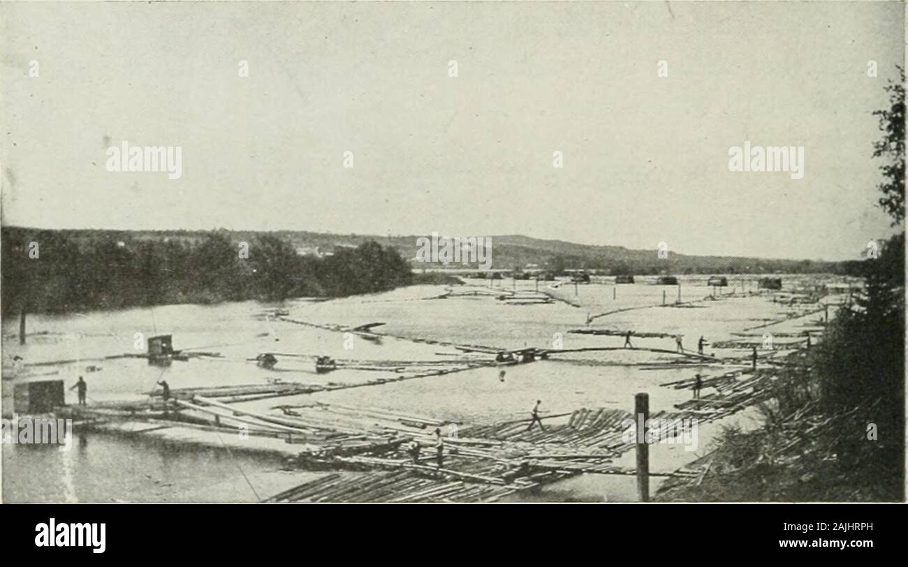 Log sort hi-res stock photography and images - Alamy