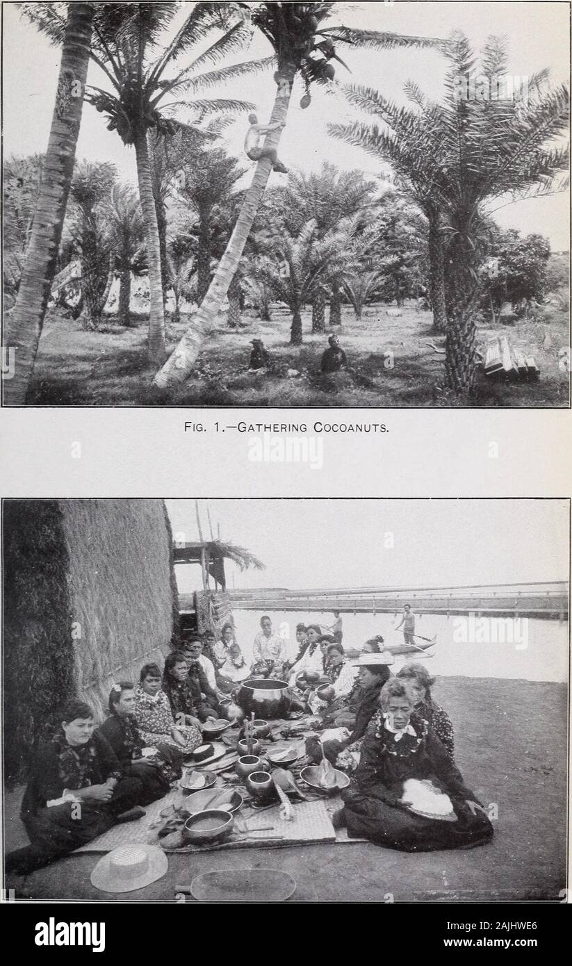 1898 hawaii hi-res stock photography and images - Alamy