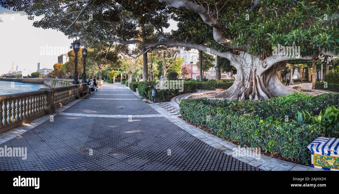 CADIZ, SPAIN - CIRCA OCTOBER, 2019: The Jardines de la Alameda Apodaca ...