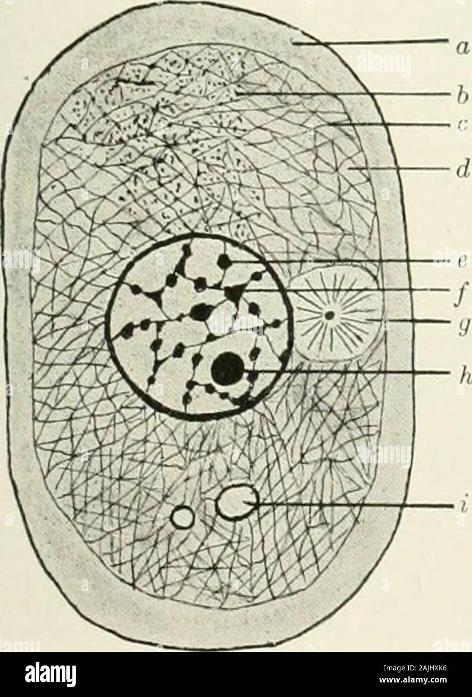 Absolute cell reference hi-res stock photography and images - Alamy
