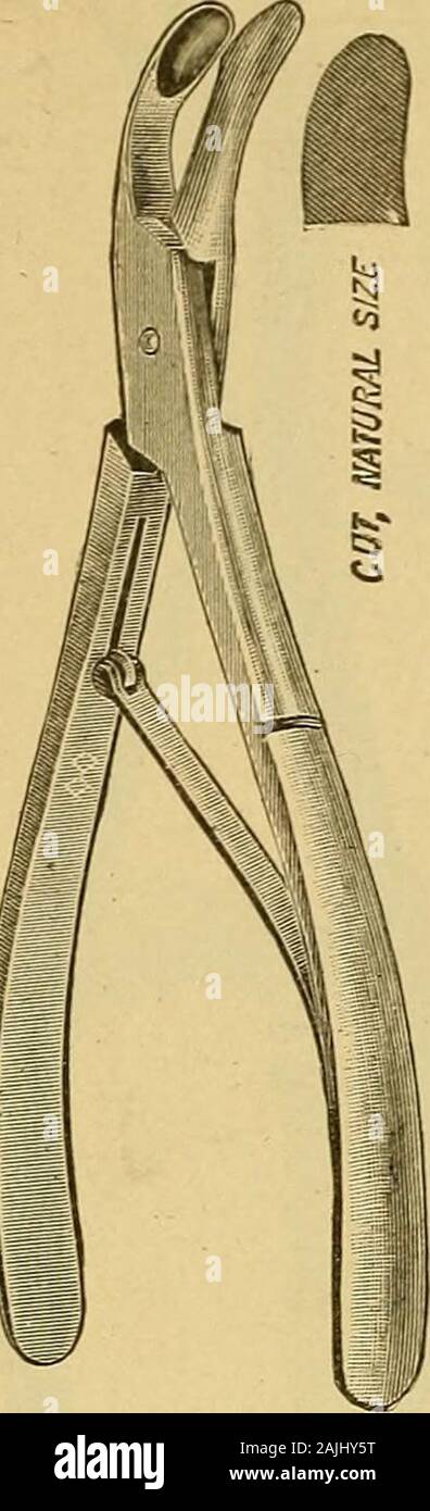 Bone rongeur hi-res stock photography and images - Alamy