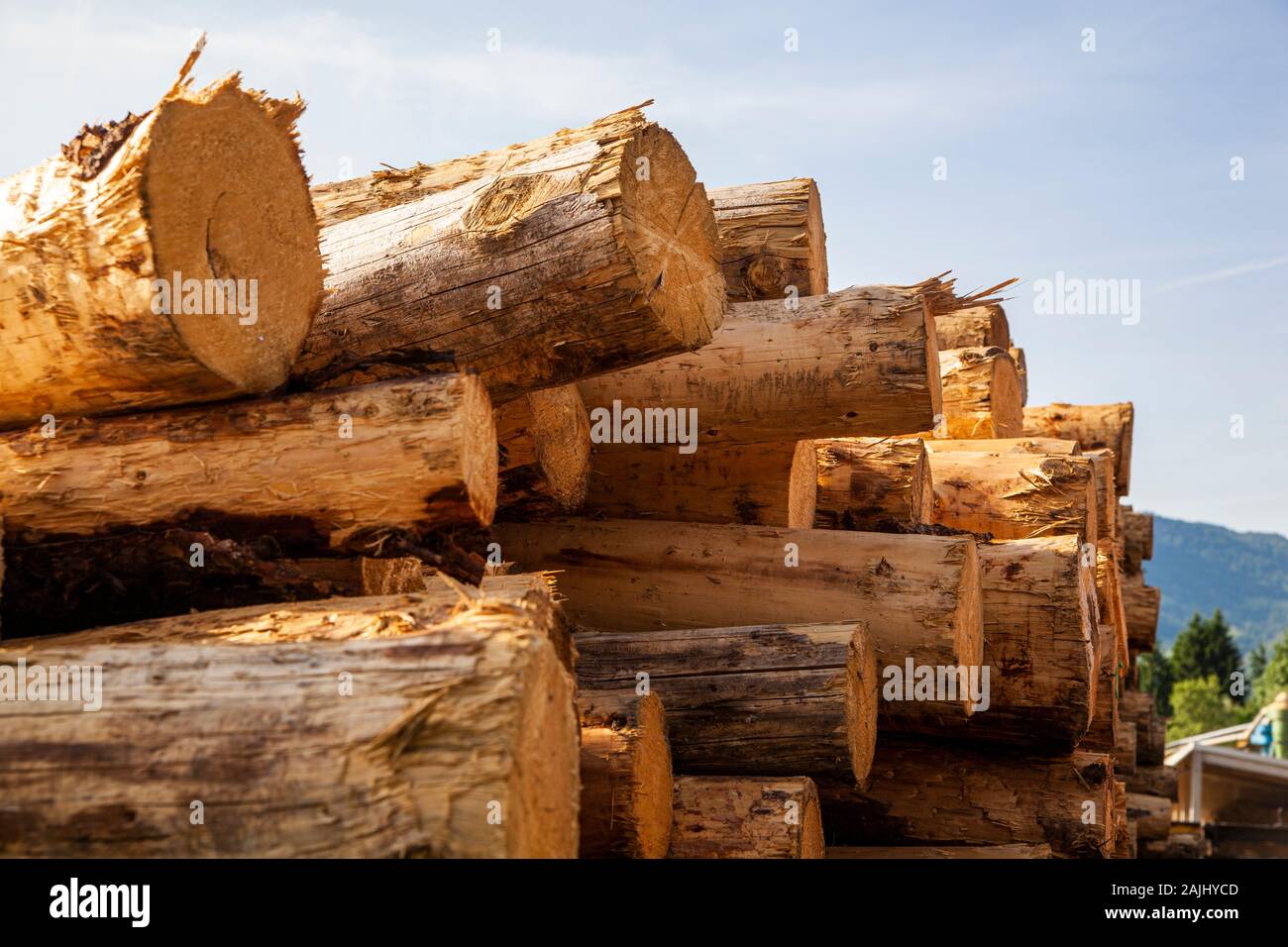 Big logs stacked on a pile Stock Photo - Alamy