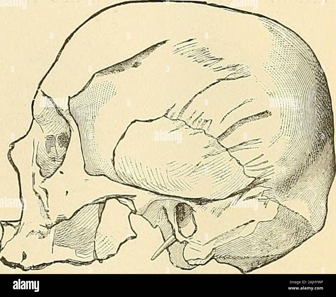 Cyclopedia universal history : embracing the most complete and recent ...