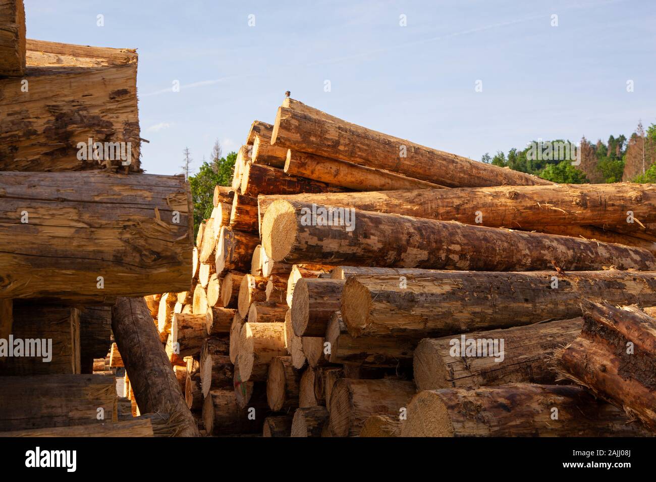 Big logs stacked on a pile Stock Photo - Alamy