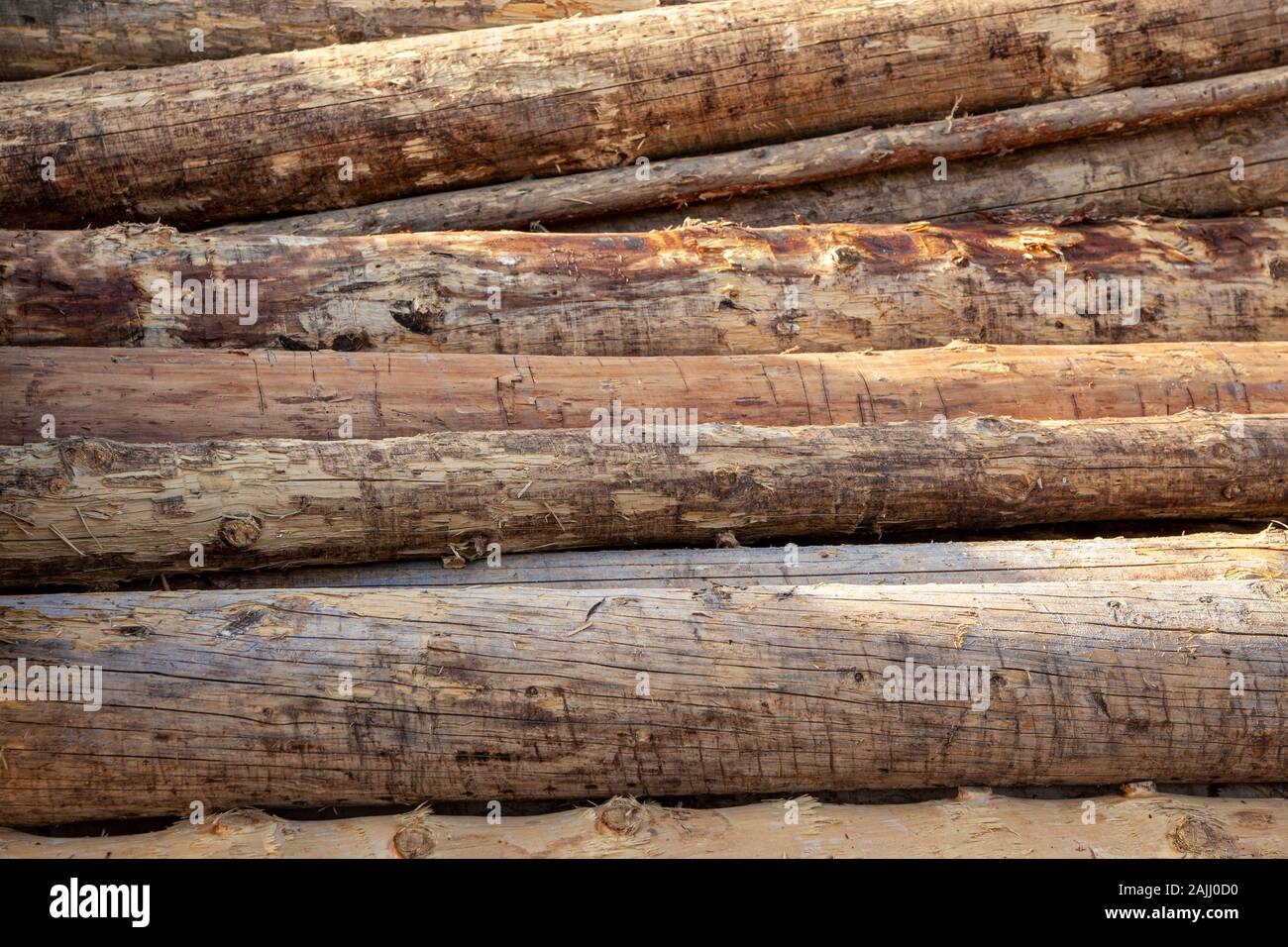 Big logs stacked on a pile Stock Photo - Alamy