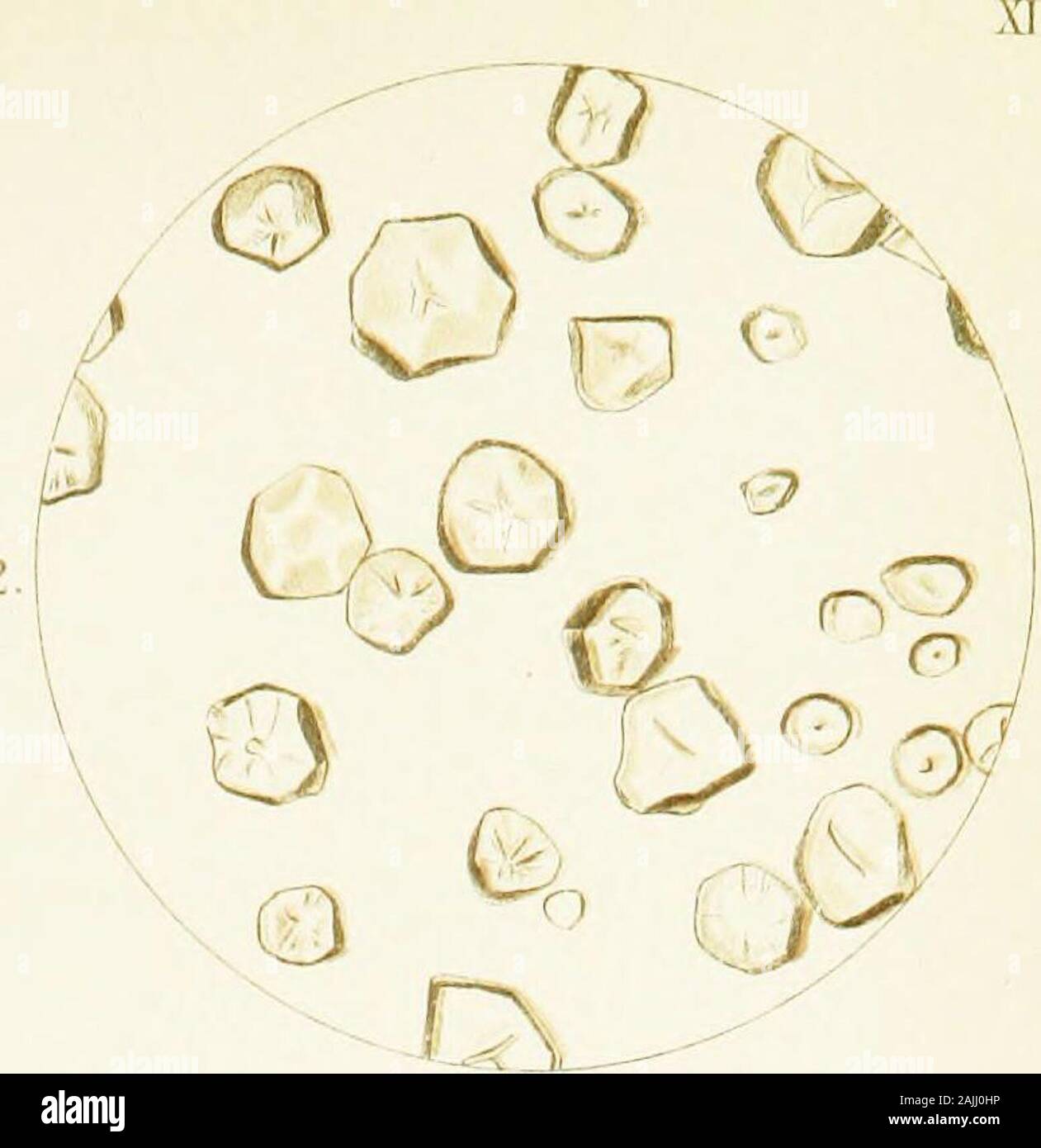 Atlas of urinary sediments; with special reference to their clinical ...