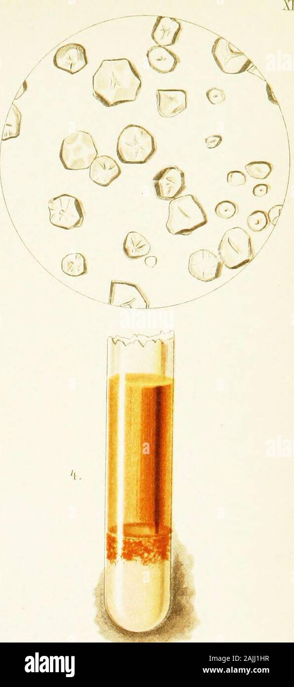 Atlas of urinary sediments; with special reference to their clinical ...