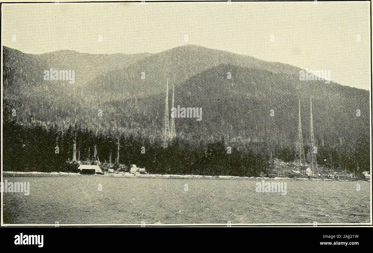 Alaska pulp mill hi-res stock photography and images - Alamy