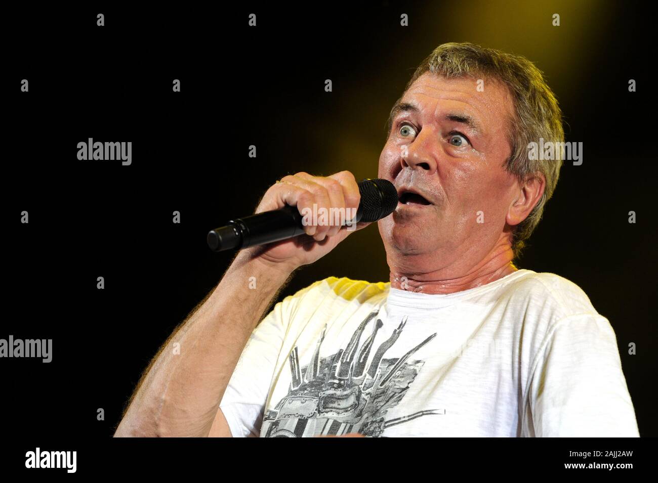 Milan Italy ,15 July 2008, Live concert of Deep Purple at the Smeraldo ...