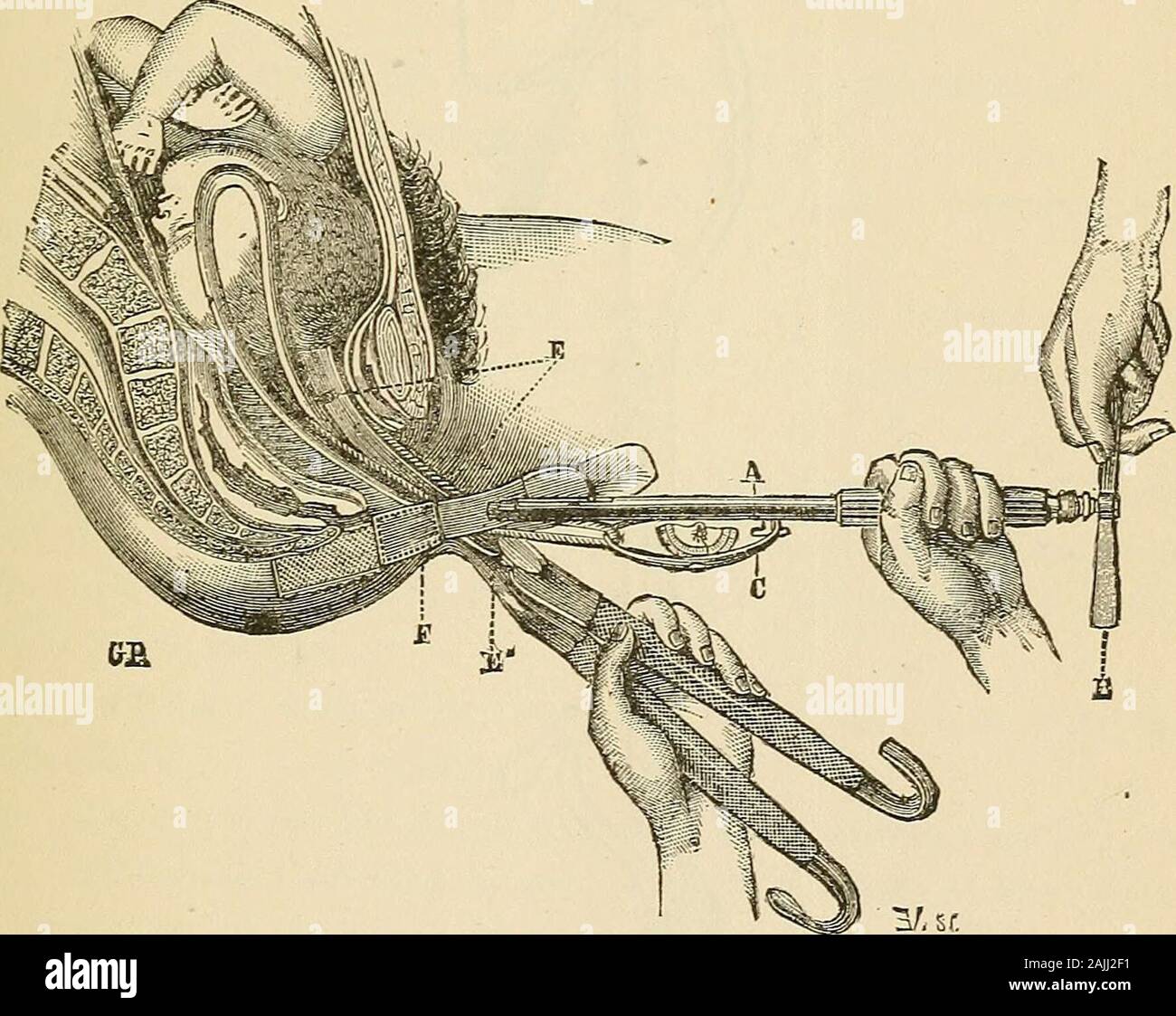 Joulin hi-res stock photography and images - Alamy