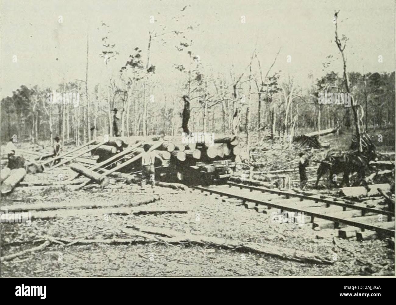 Gasoline logging locomotive hi-res stock photography and images - Alamy