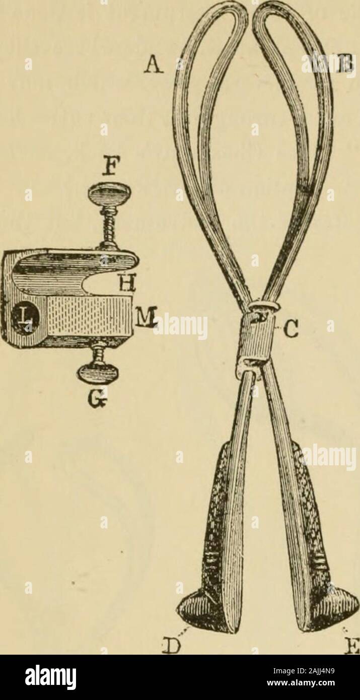 Longitudinal axes hi-res stock photography and images - Alamy