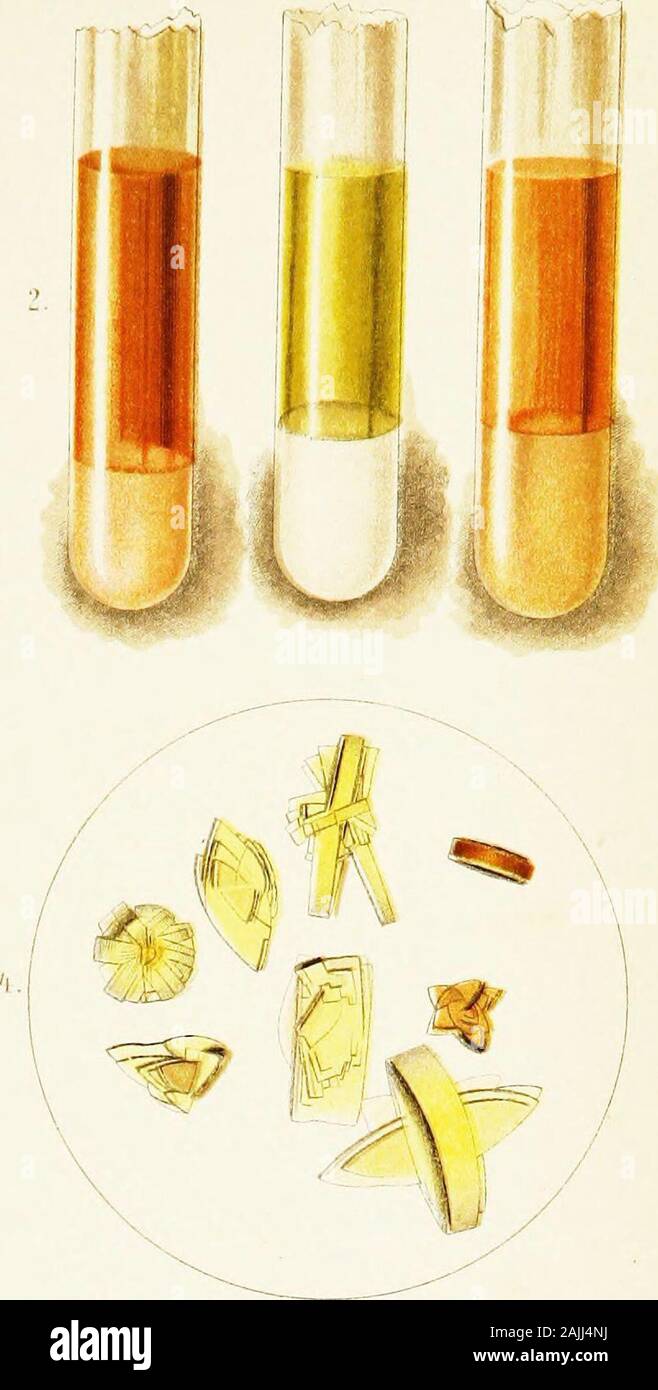 Atlas of urinary sediments; with special reference to their clinical ...