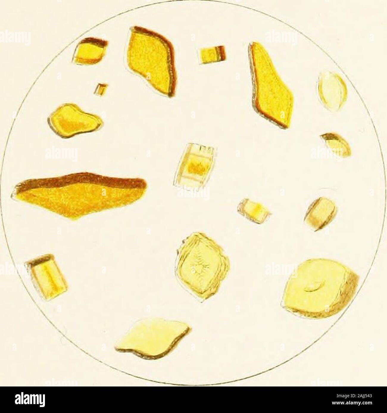 Atlas of urinary sediments; with special reference to their clinical ...