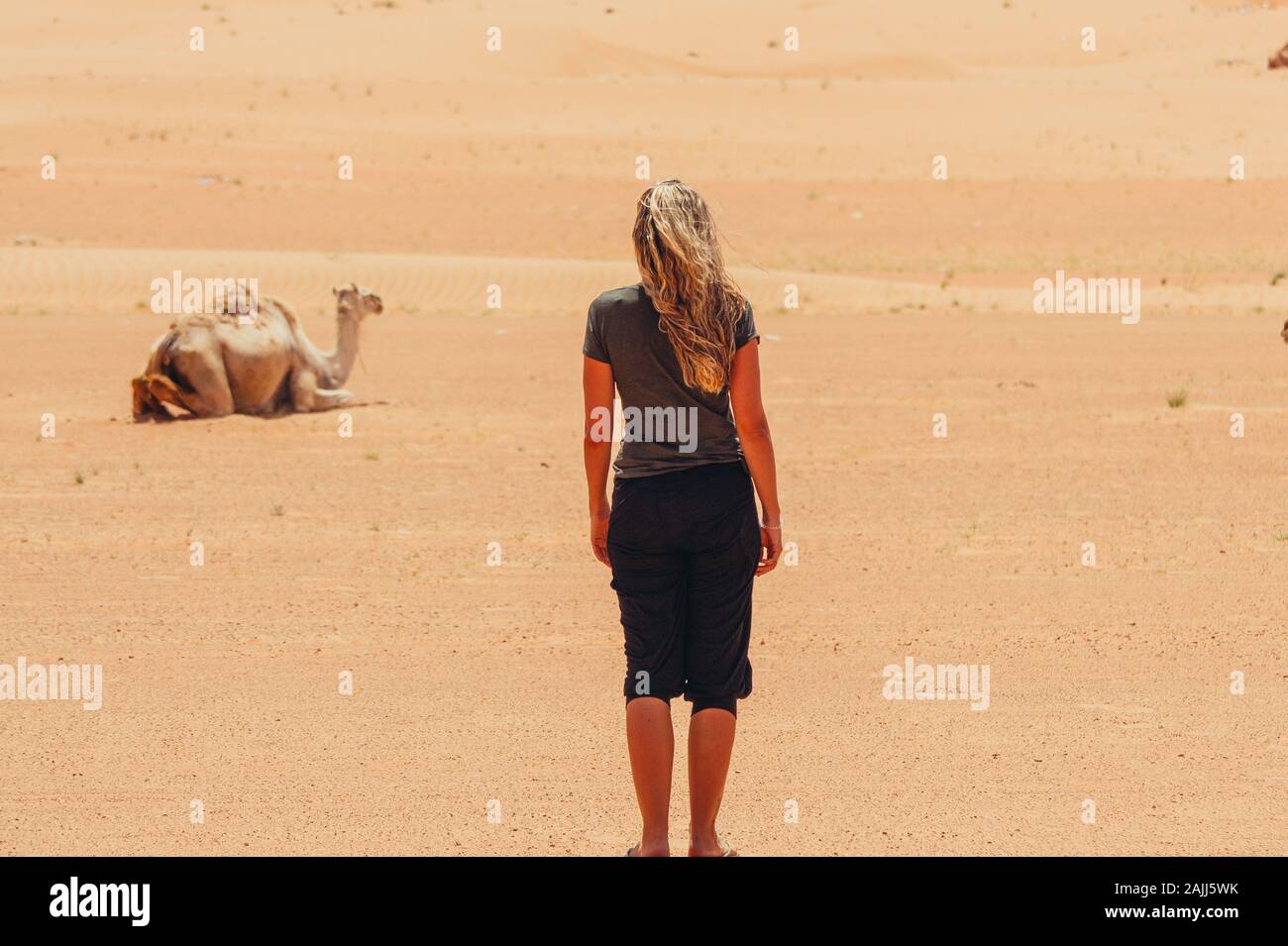 woman back view with camel in dessert Stock Photo - Alamy
