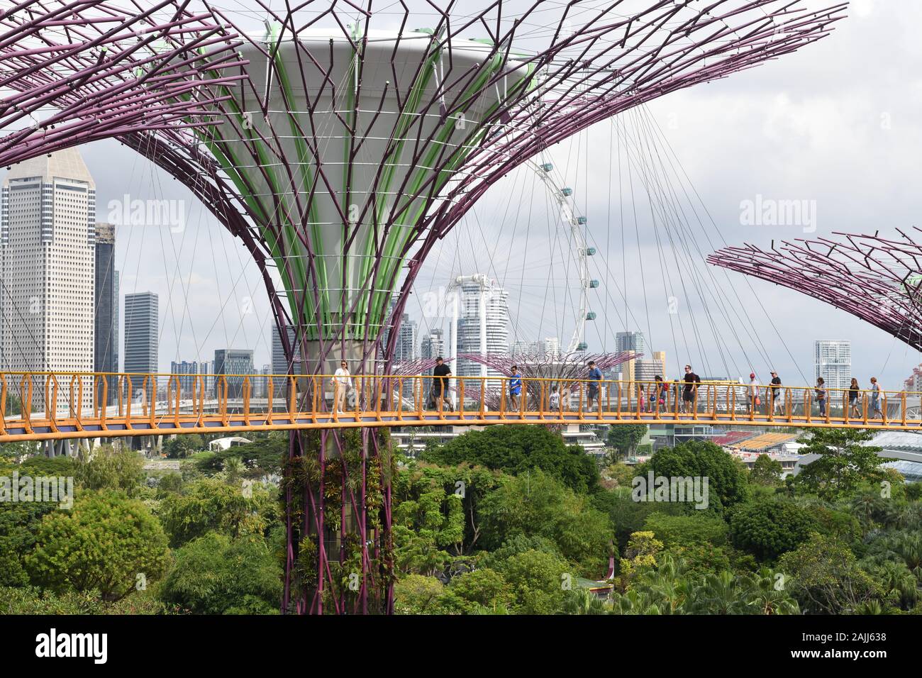 Supertree observatory hi-res stock photography and images - Alamy