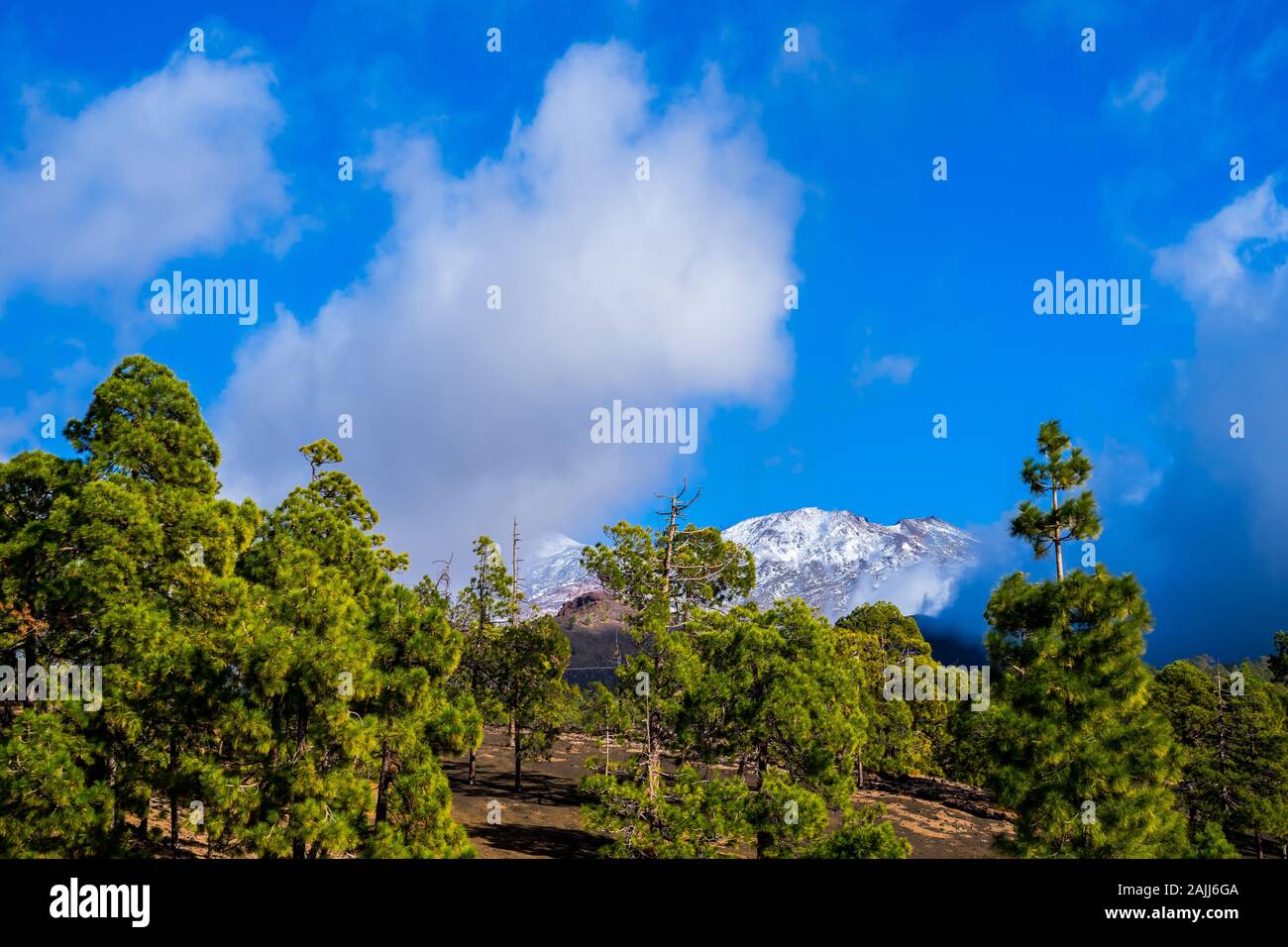 Tenerife Chinyero Volcano High Resolution Stock Photography and Images ...