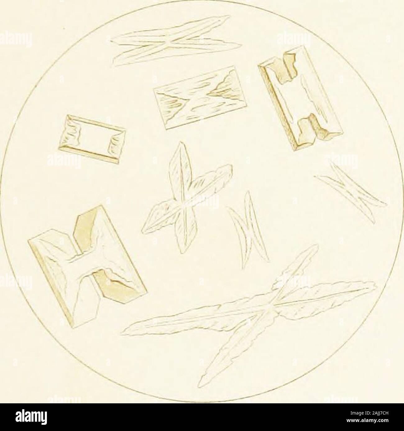 Atlas of urinary sediments; with special reference to their clinical ...