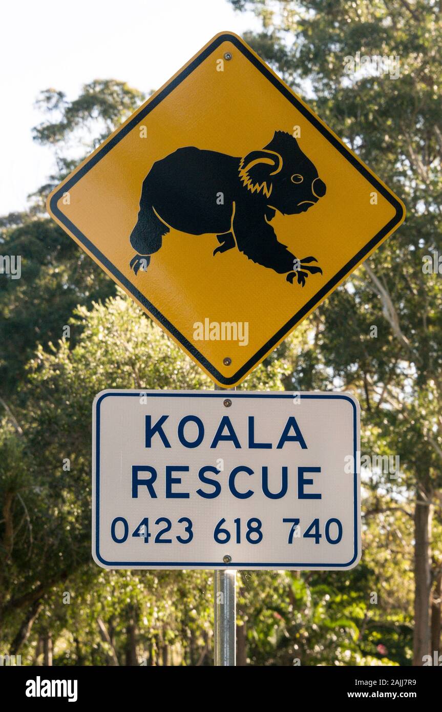 A Koala Rescue road sign on a road close to a Koala habitat on the ...