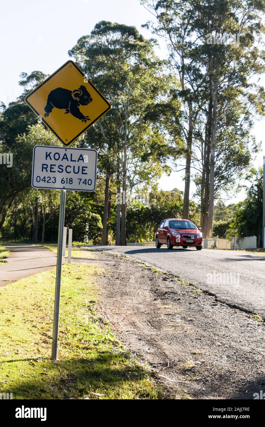 A Koala Rescue road sign on a road close to a Koala habitat on the ...