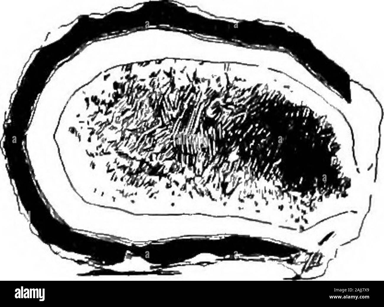 Pyrolusite minerals Black and White Stock Photos & Images - Alamy